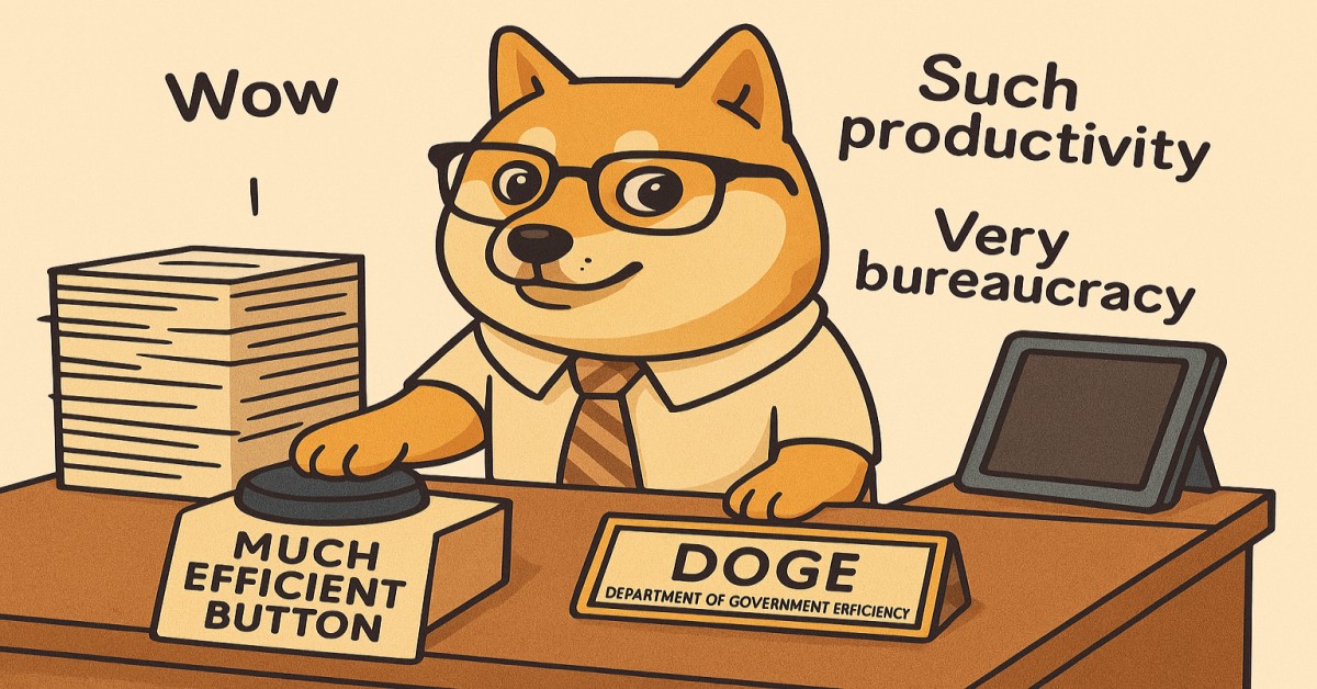 DOGE – Long-Term Effects? - Friendslr Social Network